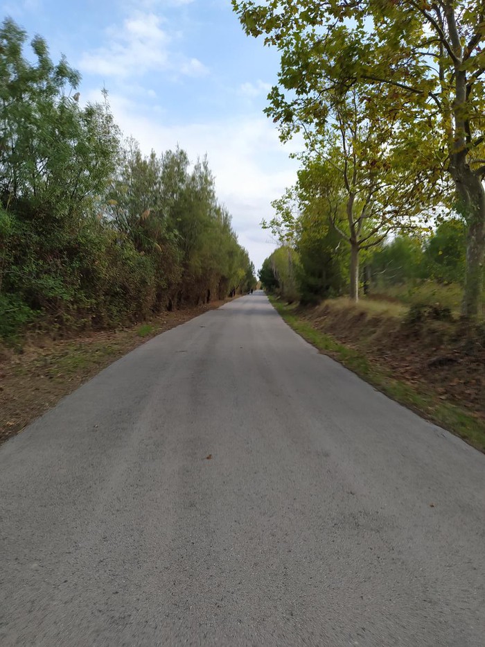 Remolar Parc Natural en El Mas Blau - PequeMap - Lugares, rutas y ...