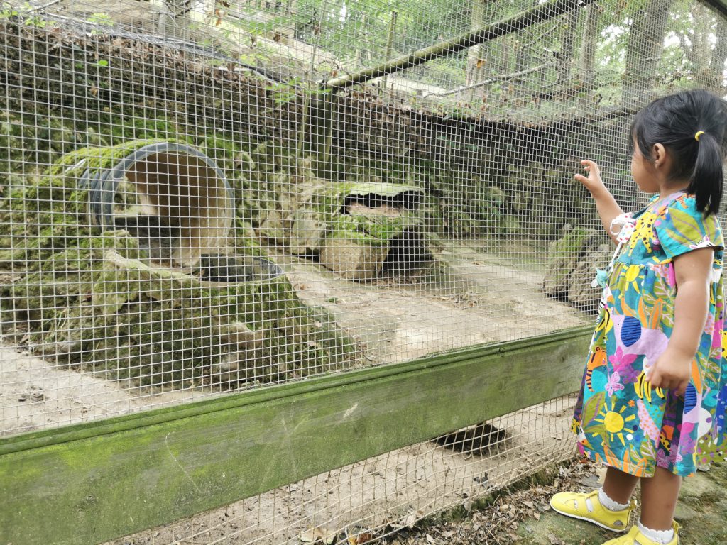 Basondo refugio de fauna - PequeMap - Lugares, rutas y eventos para ir ...